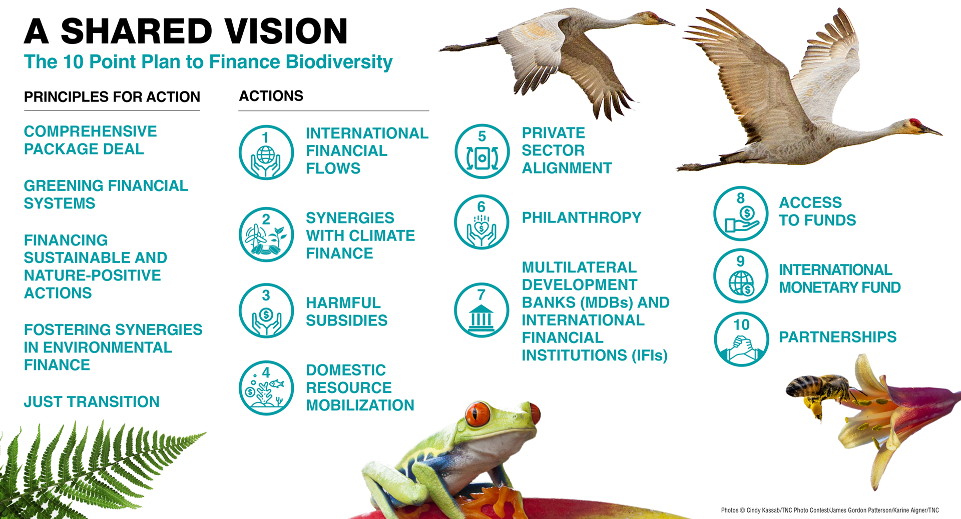 Nature Now | The Nature Conservancy