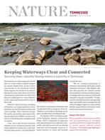 Tennessee Publications | The Nature Conservancy