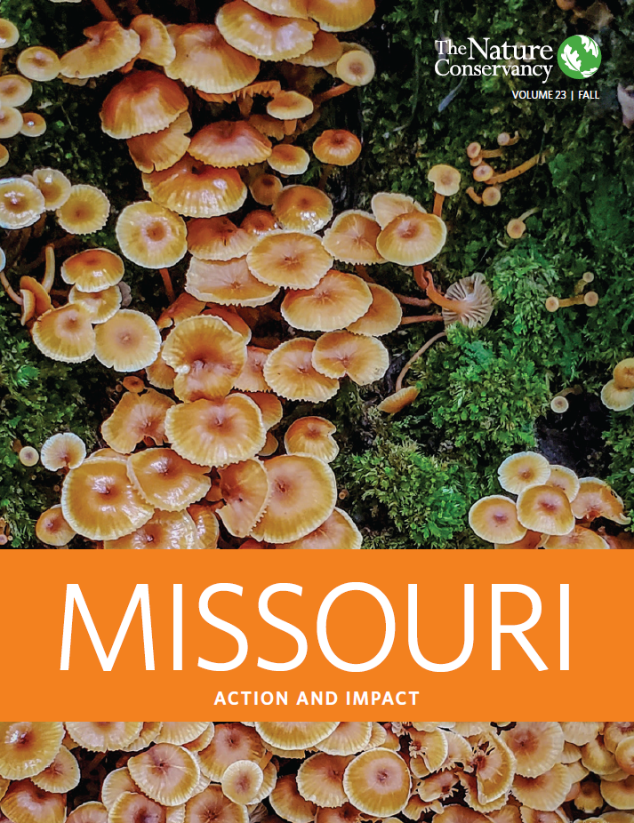 Missouri Action and Impact | The Nature Conservancy in Missouri