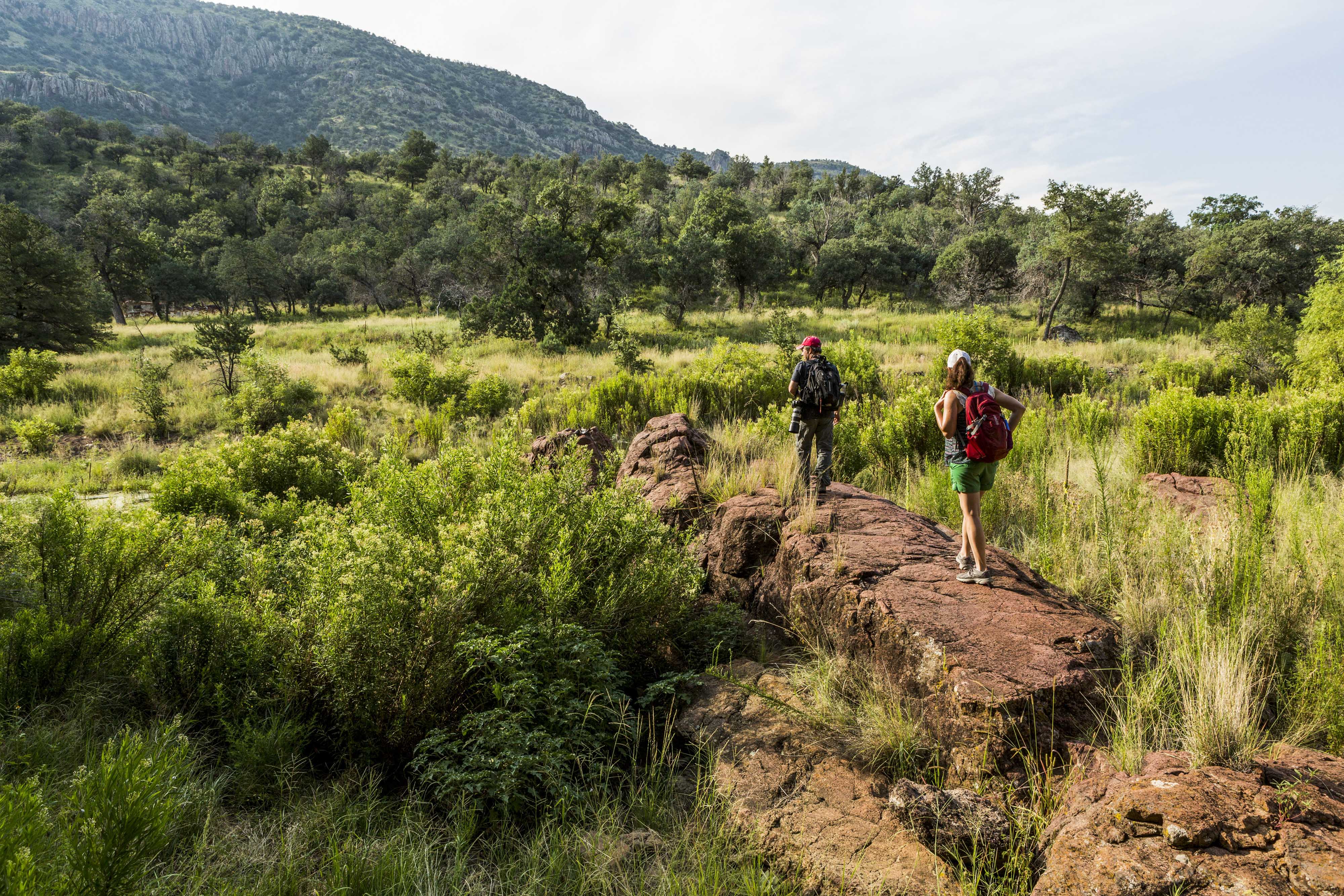 Davis Mountains Preserve Tours | The Nature Conservancy