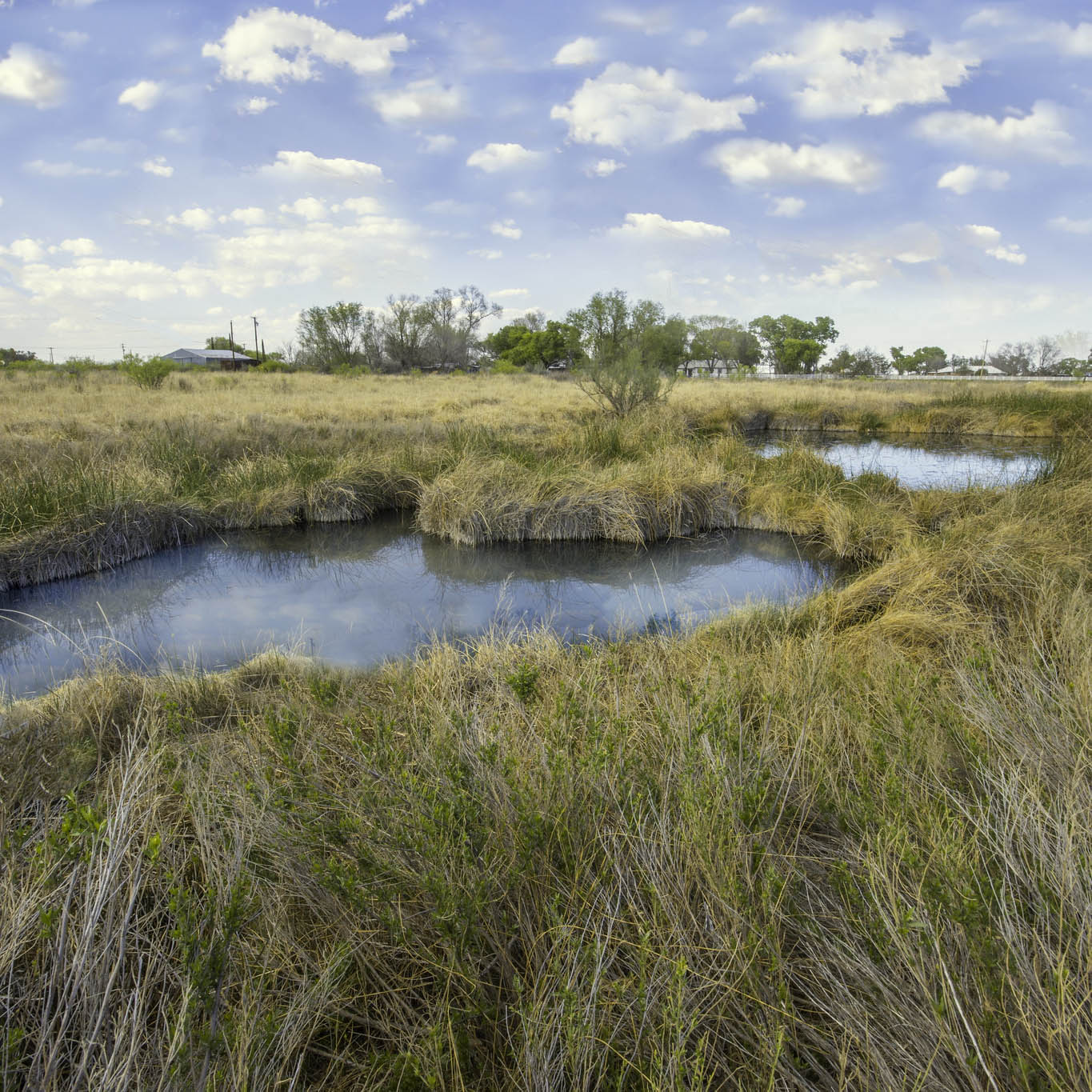 West Texas Springs Preserve Tours | The Nature Conservancy